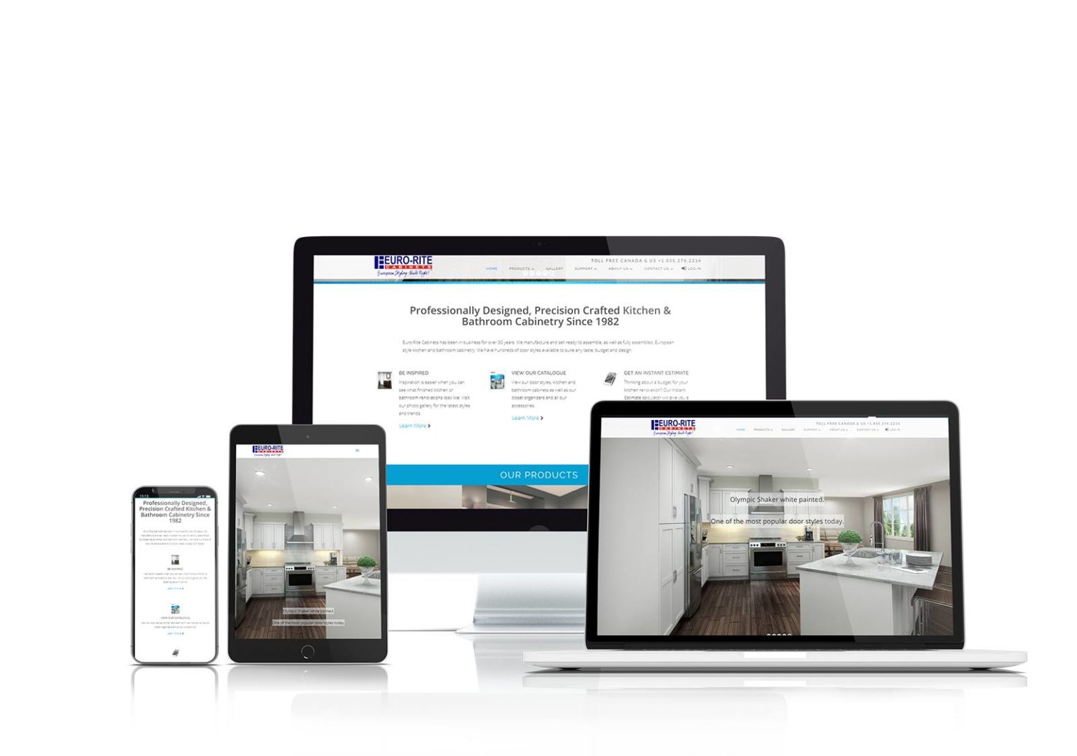 Euro-Rite Cabinets Digital Marketing Case Study | thinkprofits.com